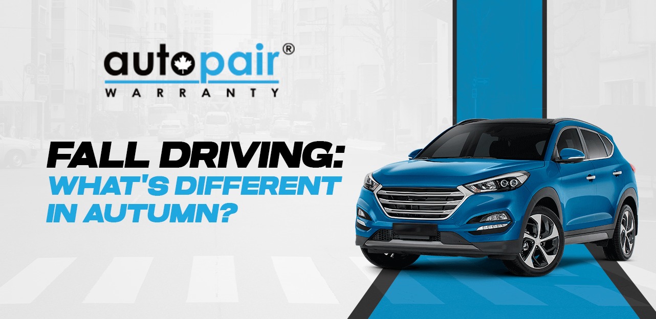 Fall Driving: What's Different in Autumn? - Autopair Warranty